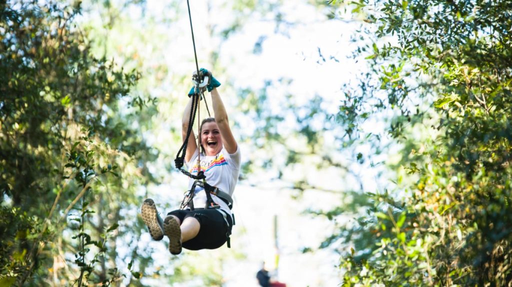 Tree-To-Tree Adventures - Tallahassee Museum