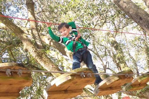 Tree-To-Tree Adventures - Tallahassee Museum