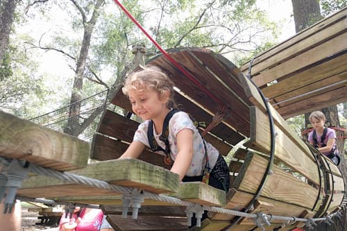 Tree-To-Tree Adventures - Tallahassee Museum