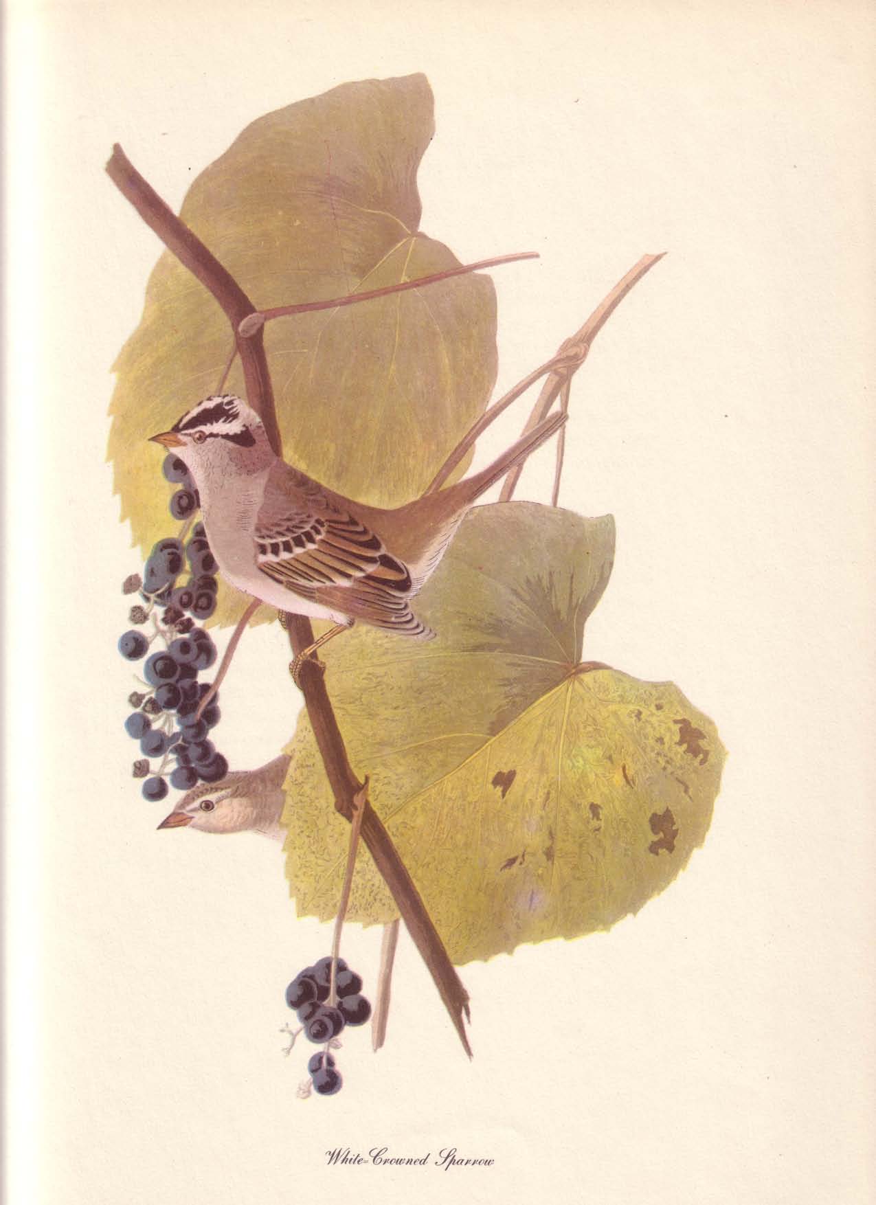 Phipps Exhibit Gallery - Tallahassee Museum